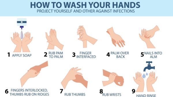 Guide to Handwashing Steps in the Food Service Industry