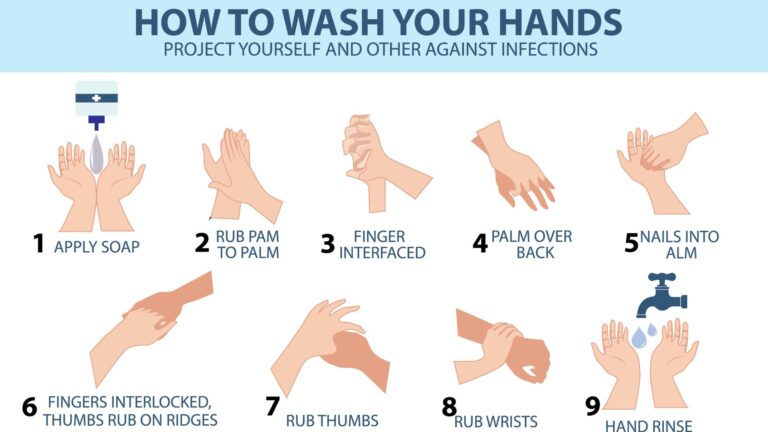 Guide to Handwashing Steps in the Food Service Industry